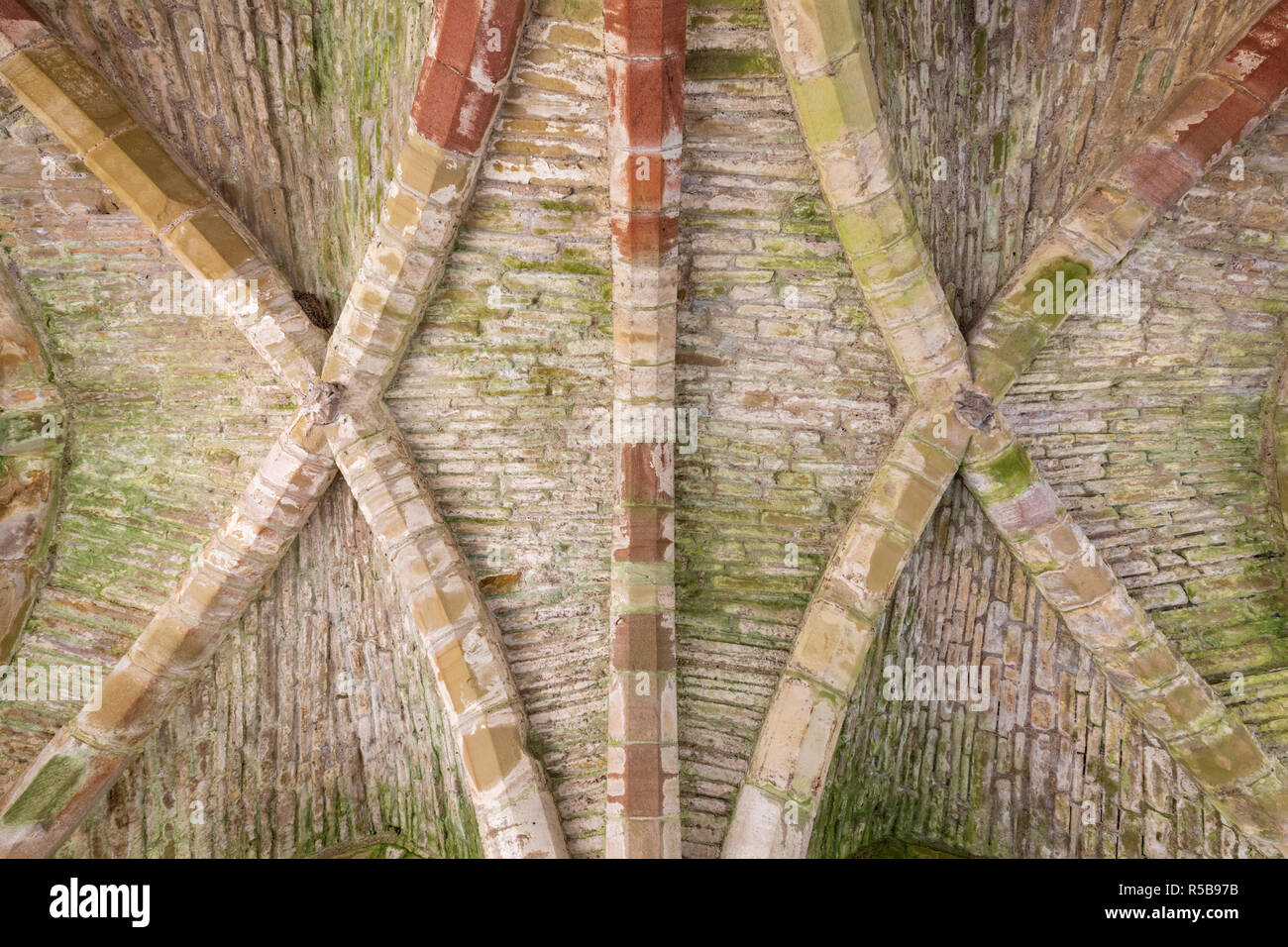 The stonework of a vaulted ceiling at Tintern Abbey, Monmouthshire ...