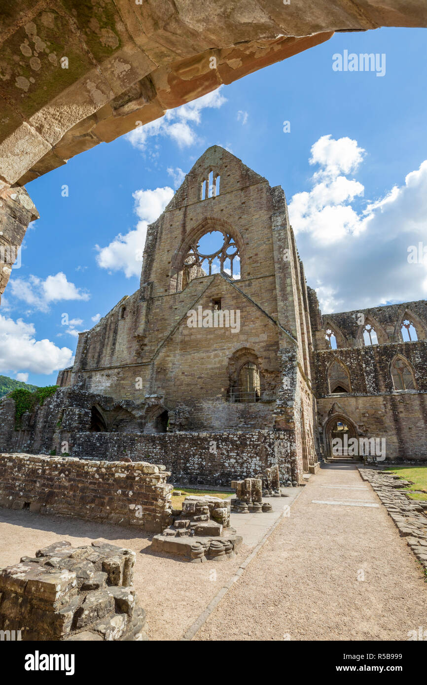Tintern Abbey, Monmouthshire, Wales Stock Photo - Alamy