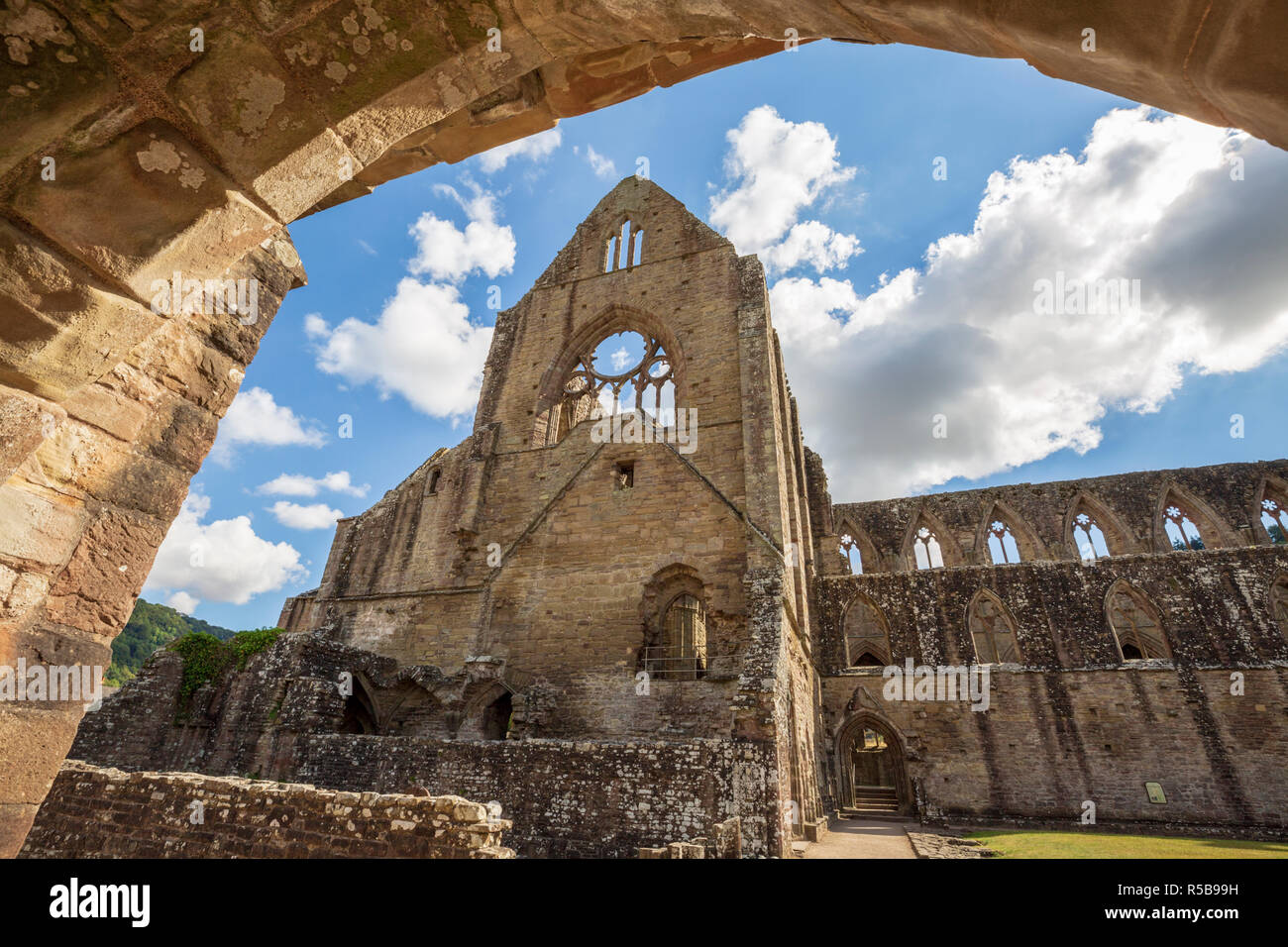 Tintern Abbey, Monmouthshire, Wales Stock Photo - Alamy