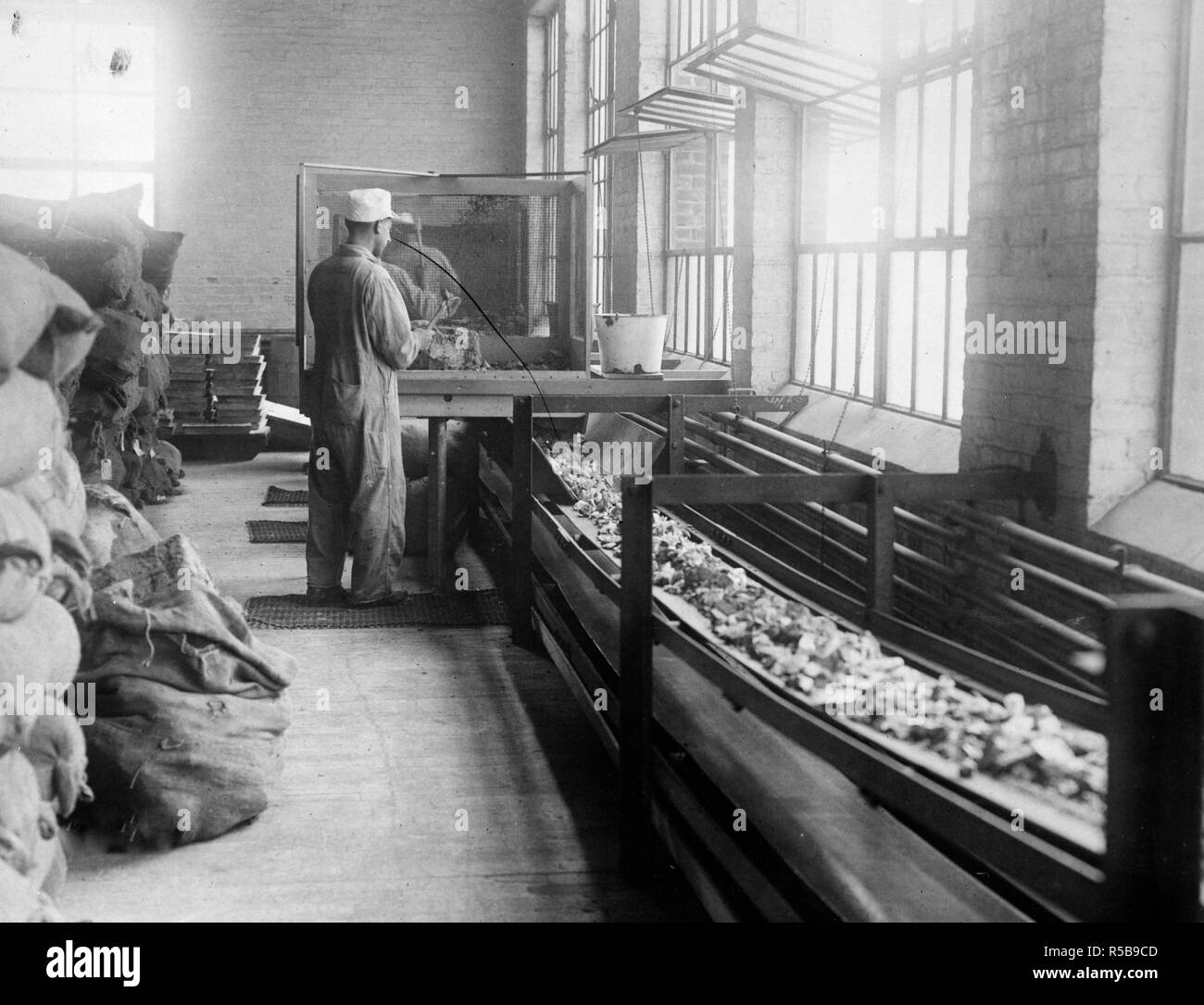 The first process in the making of chewing gum is the chopping up of ...