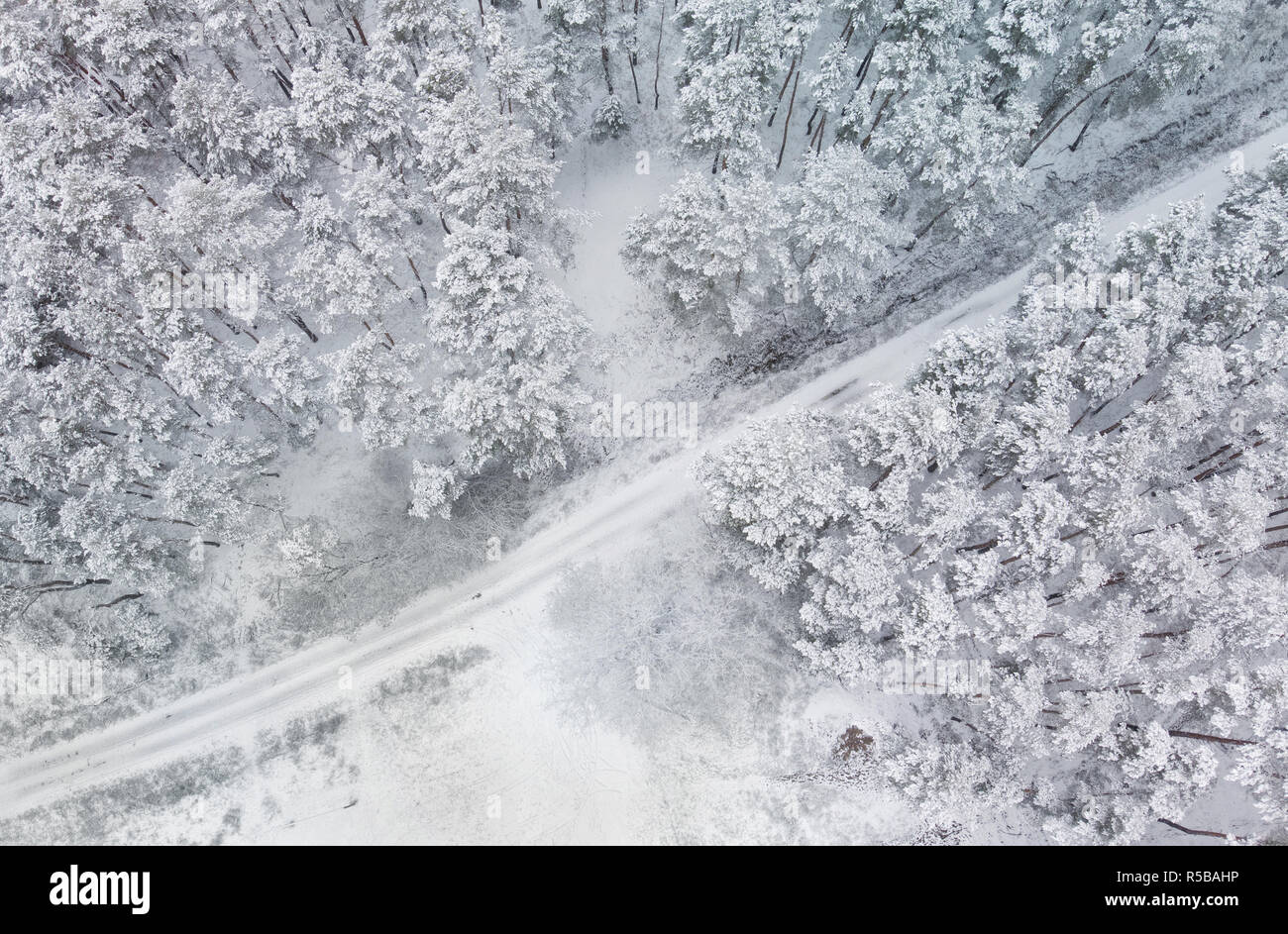 Winter snow - covered forest - a bird's eye view Stock Photo - Alamy