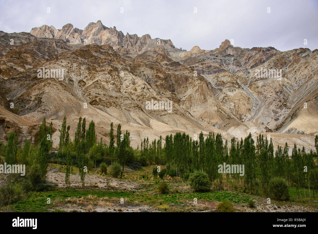 Beautiful village of Urtsi and the Ripchar Togpo Valley, Ladakh, India ...