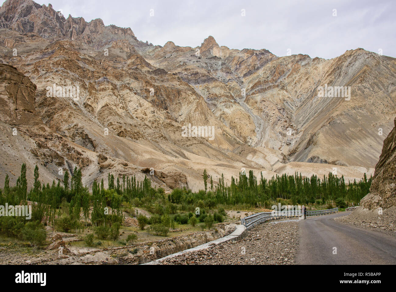 Beautiful village of Urtsi and the Ripchar Togpo Valley, Ladakh, India ...