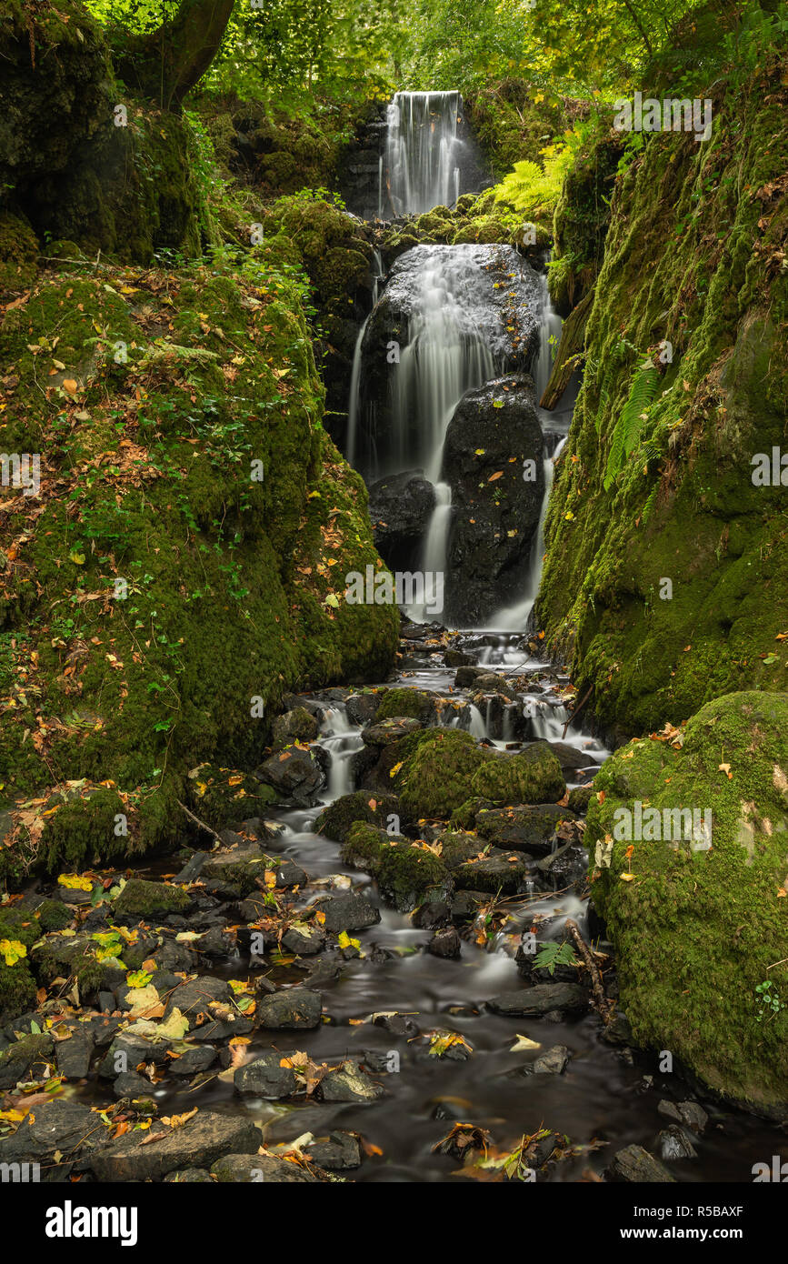 Stunning tall waterfall flowing over lush green landscape foliage in ...