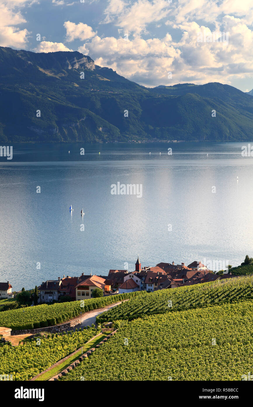 Switzerland, Vaud, Lavaux Vineyards, Rivaz Village and Lac Leman / Lake ...