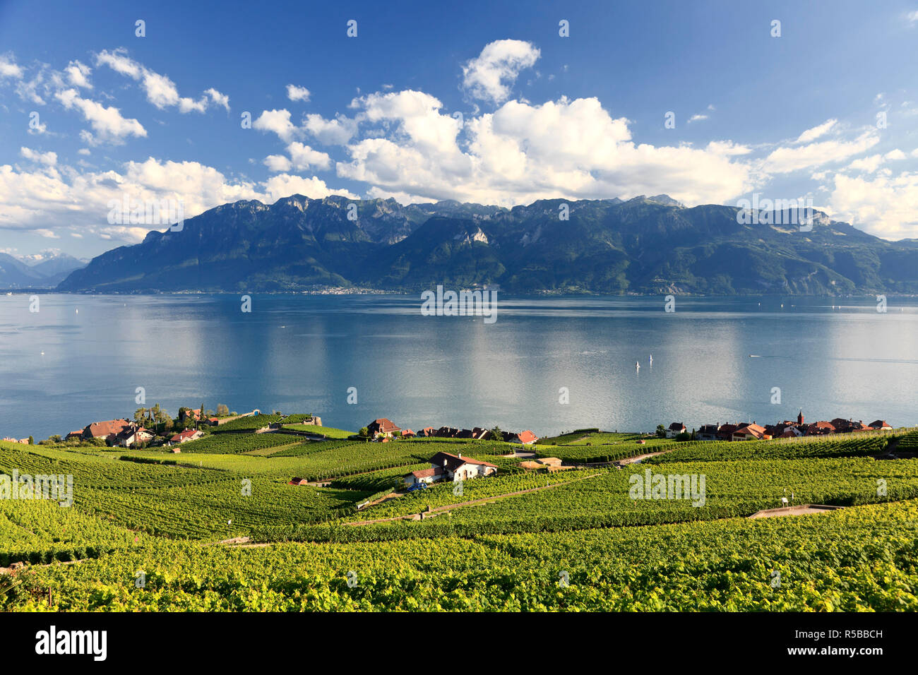 Rivaz switzerland vaud lake geneva hi-res stock photography and images ...