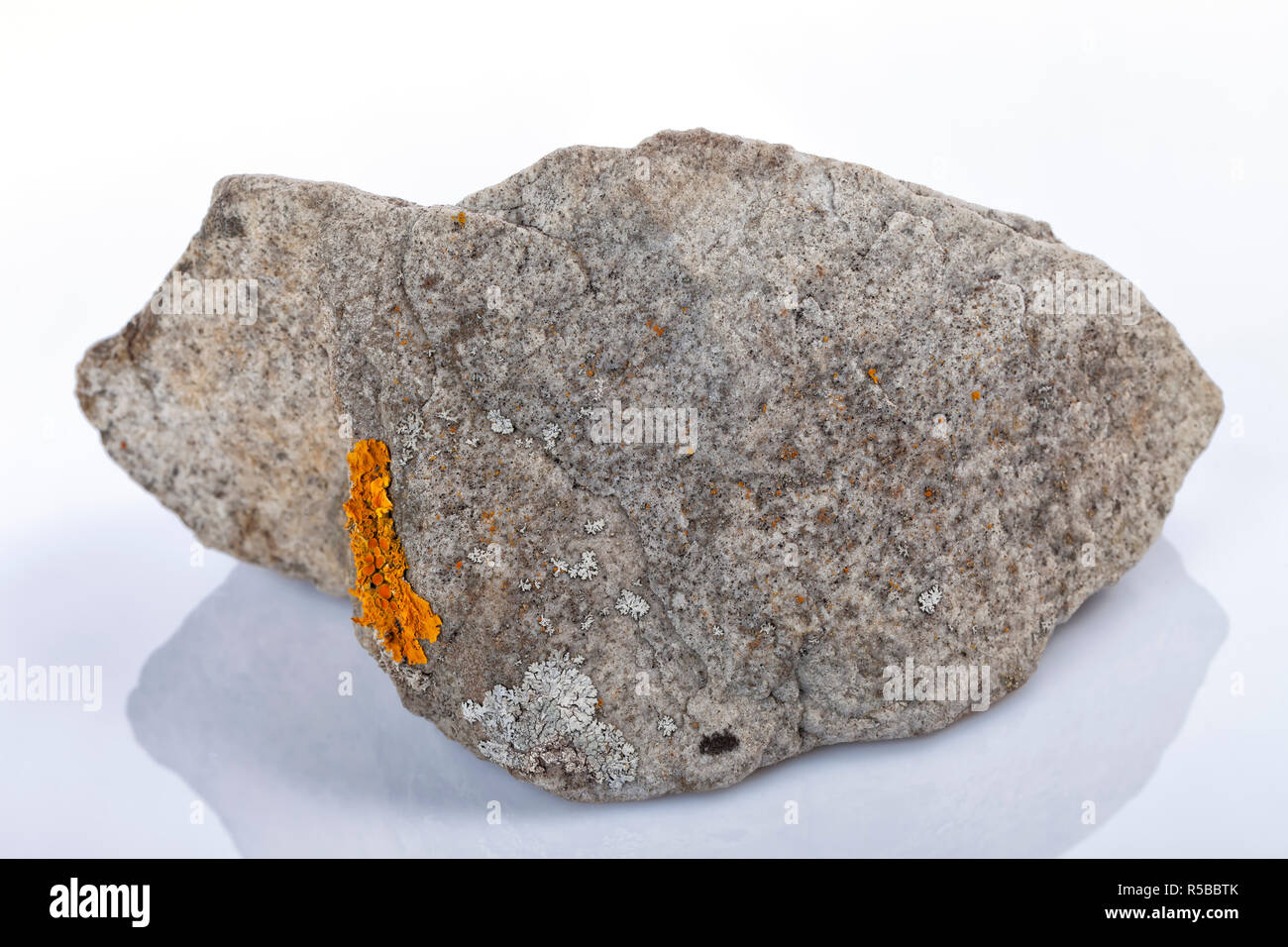 White mottled stone on rock hi-res stock photography and images - Alamy