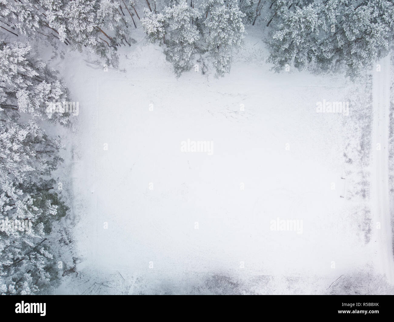 Glade view hi-res stock photography and images - Alamy