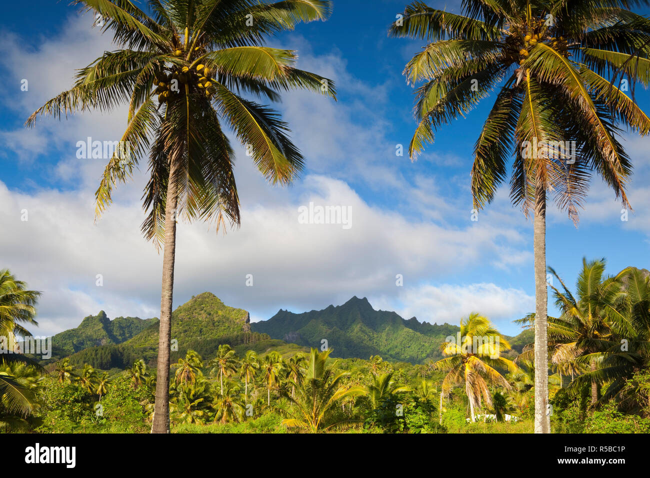 Rarotonga, Cook Islands, South Pacific Stock Photo - Alamy