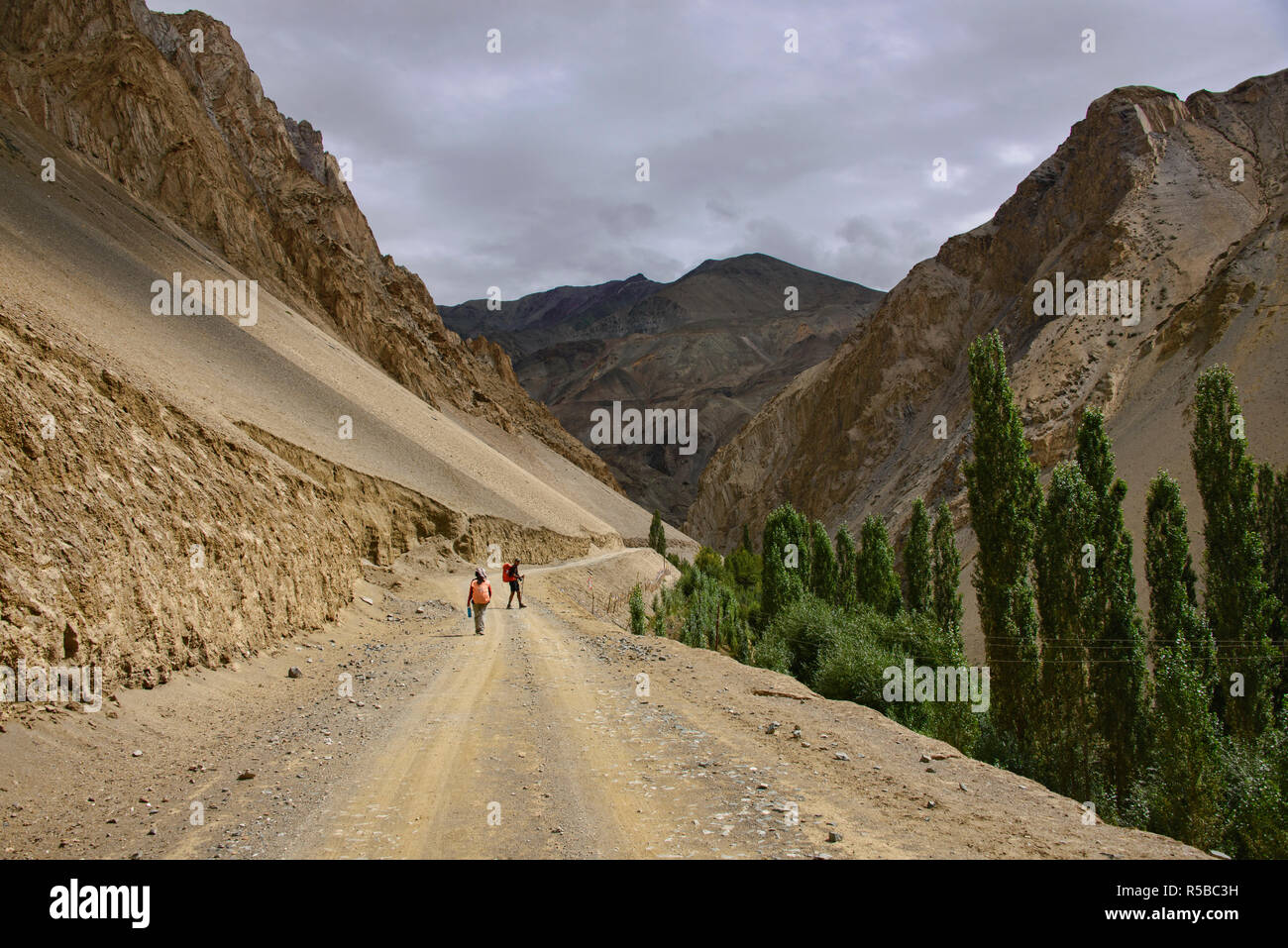 Beautiful village of Urtsi and the Ripchar Togpo Valley, Ladakh, India ...