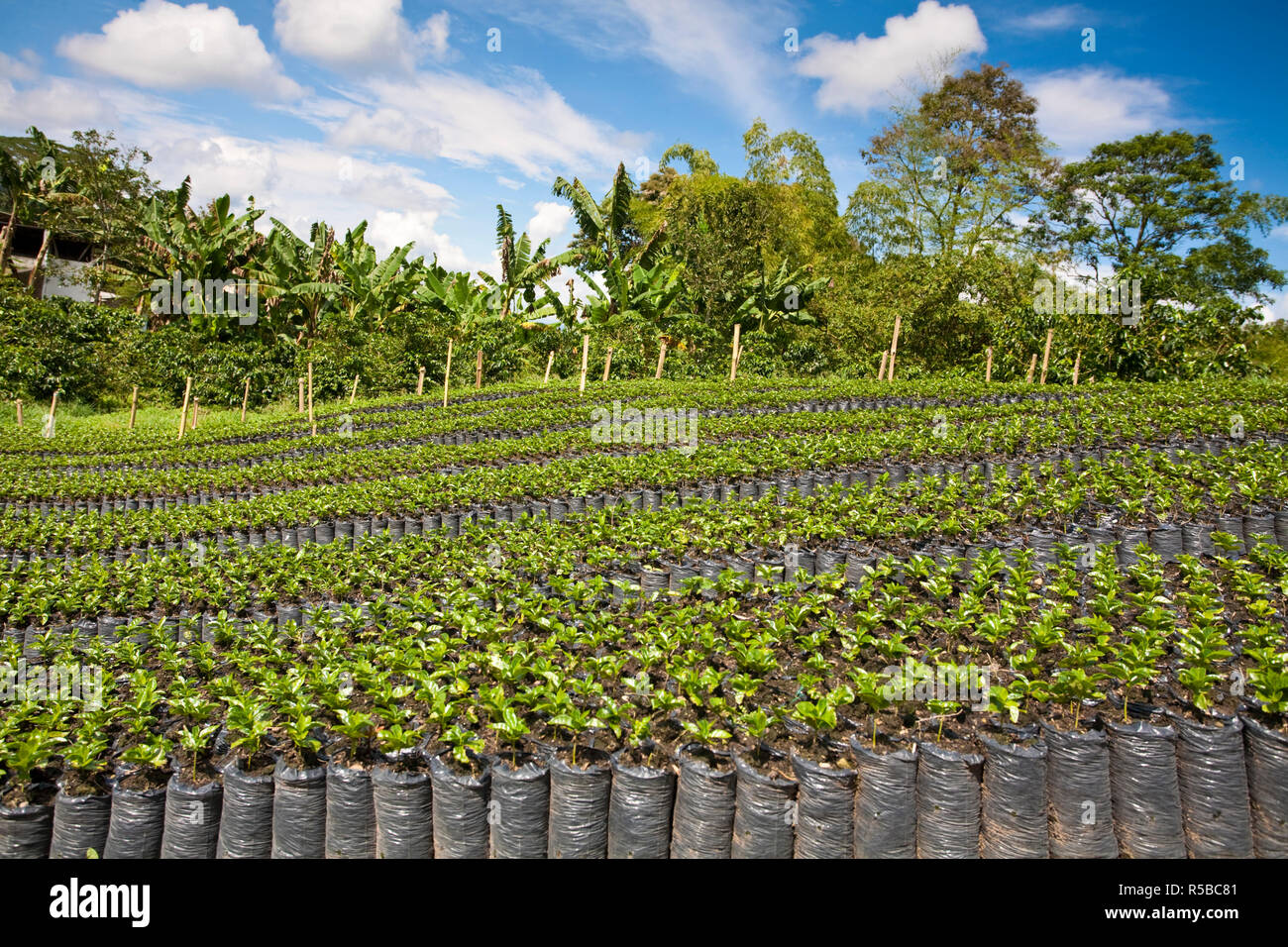 Colinos hi-res stock photography and images - Alamy