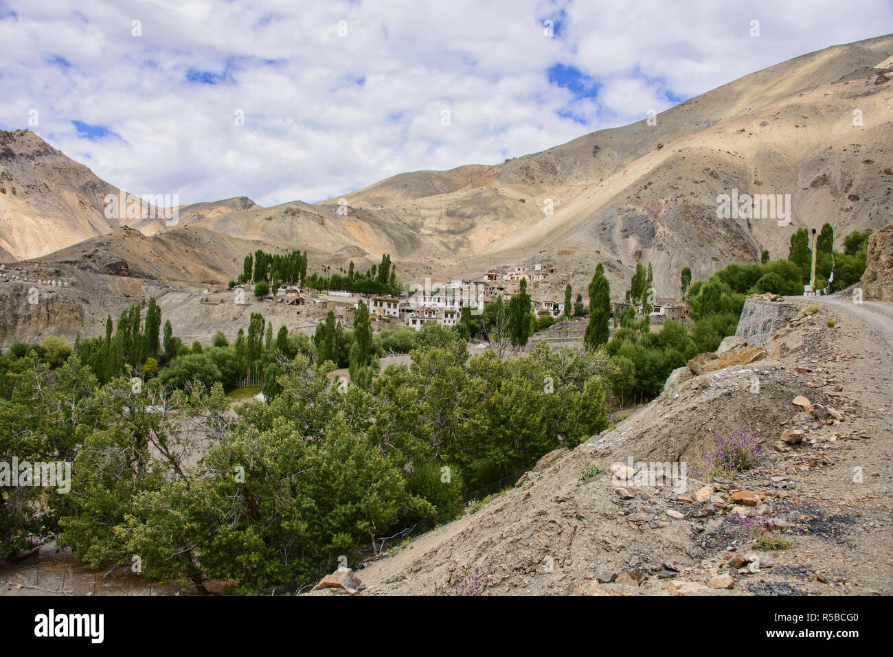 Beautiful village of Urtsi and the Ripchar Togpo Valley, Ladakh, India ...