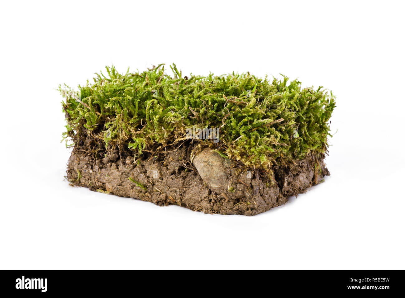 Soil clump Cut Out Stock Images & Pictures - Alamy