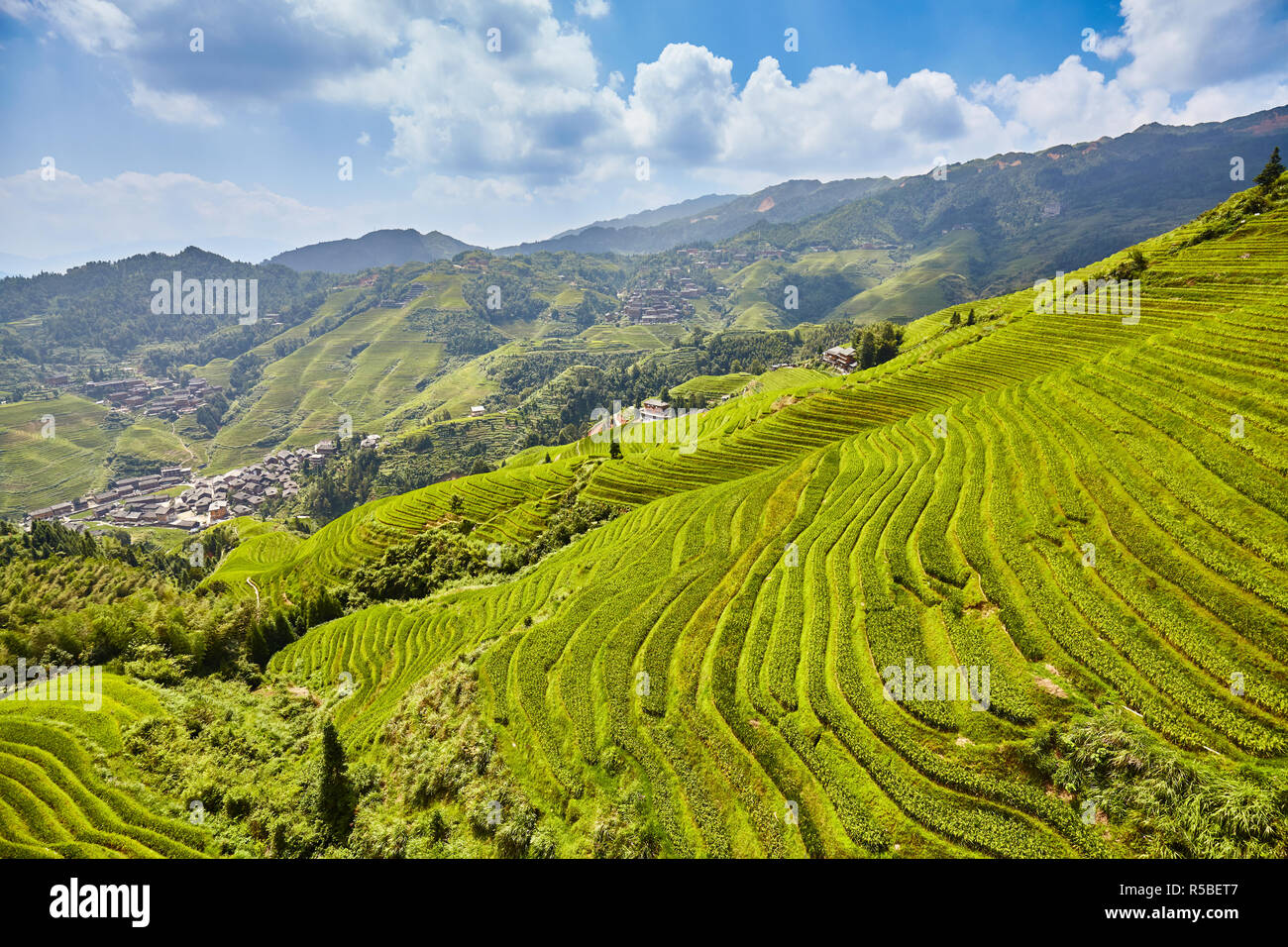 Longji Rice Terraces Fields (Dragon's Backbone), one of Guilin top ...