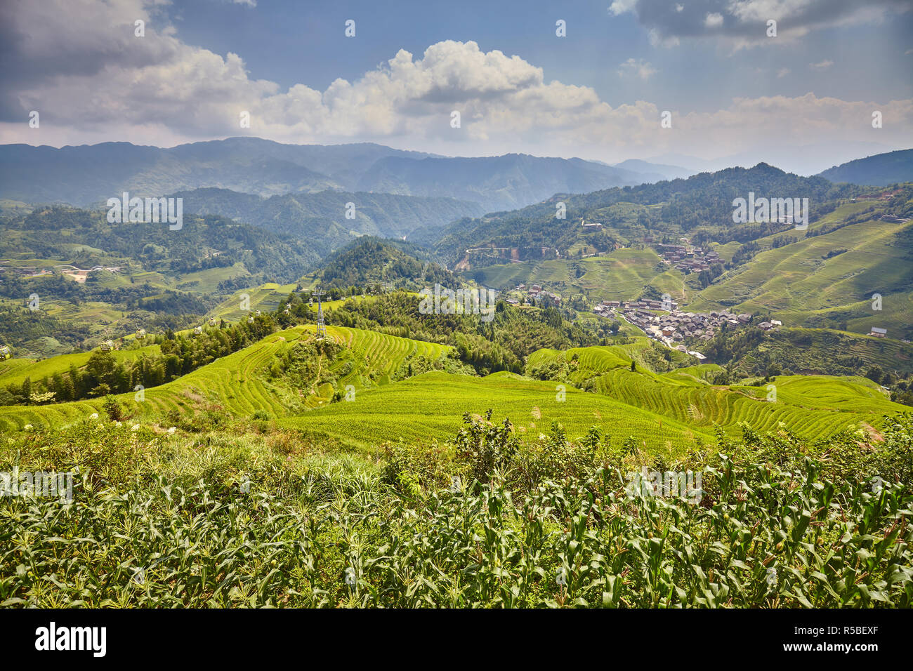 Longji Rice Terraces Fields (Dragon's Backbone), one of Guilin top ...