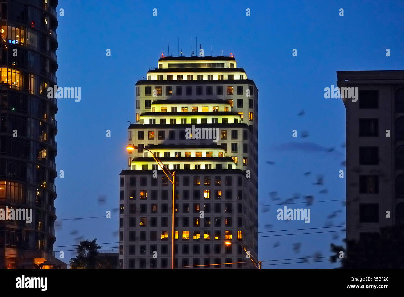 Austin high rise buildings and flocks of emerging bats, Austin, Texas ...