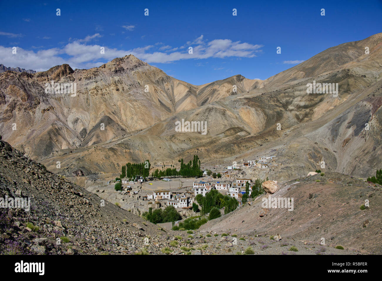 Beautiful village of Urtsi and the Ripchar Togpo Valley, Ladakh, India ...