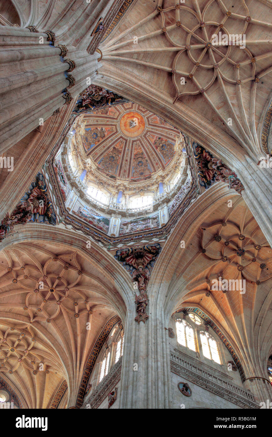 New Cathedral (Catedral Nueva), Salamanca, Castile and Leon, Spain ...