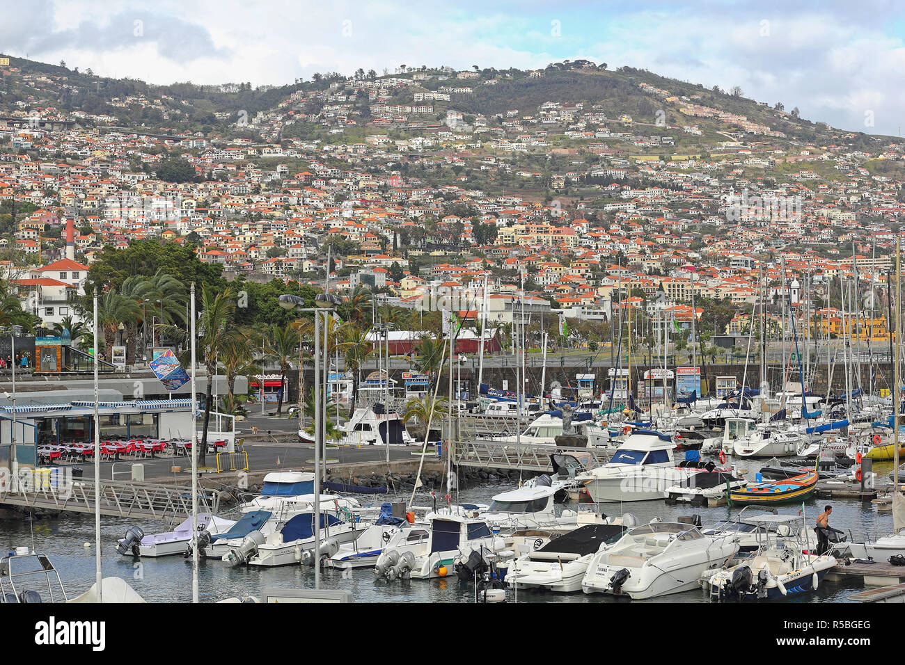 Marina and Panorama of Funchal Stock Photo - Alamy