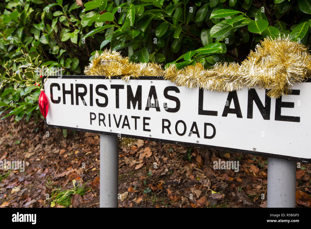 Christmas Lane road sign decorated with baubles, holly and tinsel ...