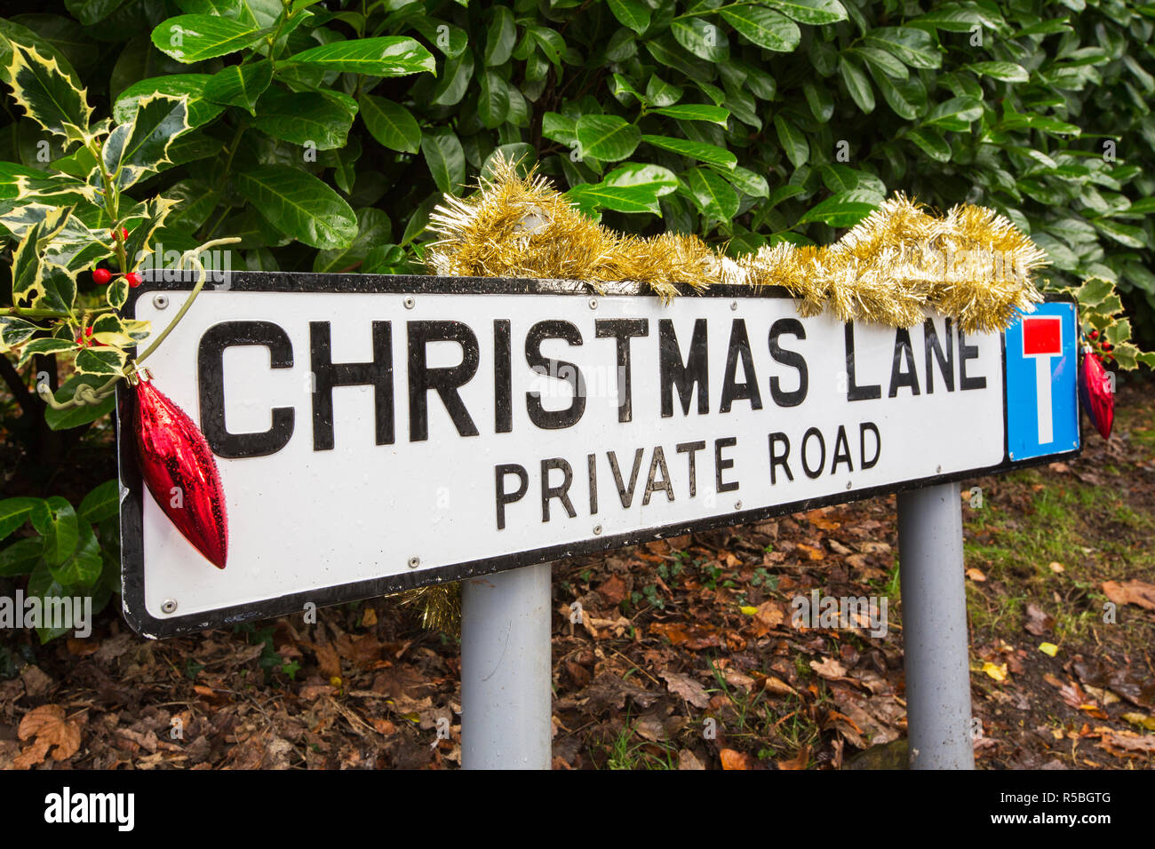 Christmas Lane road sign decorated with baubles, holly and tinsel ...