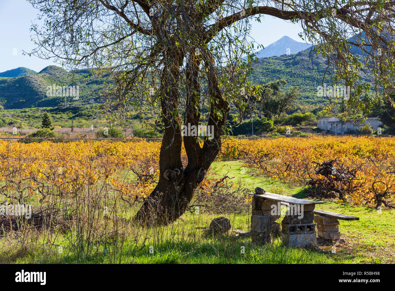 Picnic table under tree hi-res stock photography and images - Alamy
