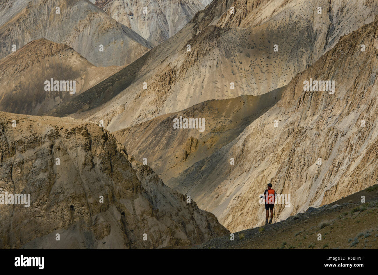 Trekking above the Ripchar Togpo Valley and the Zanskar Range, Ladakh ...