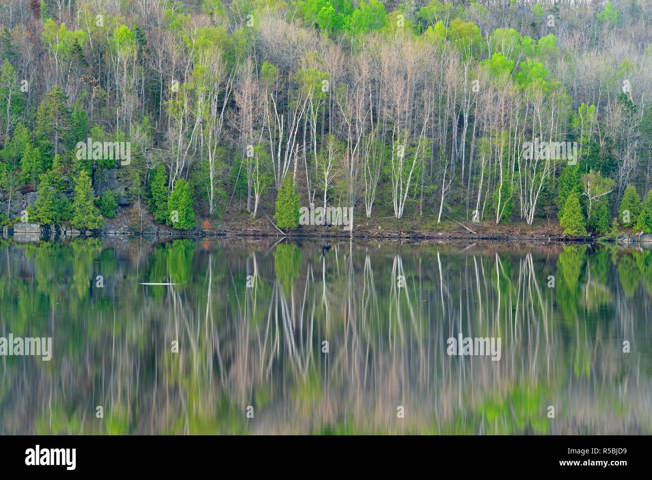 Spring reflections in Simon Lake, Greater Sudbury, Ontario, Canada ...