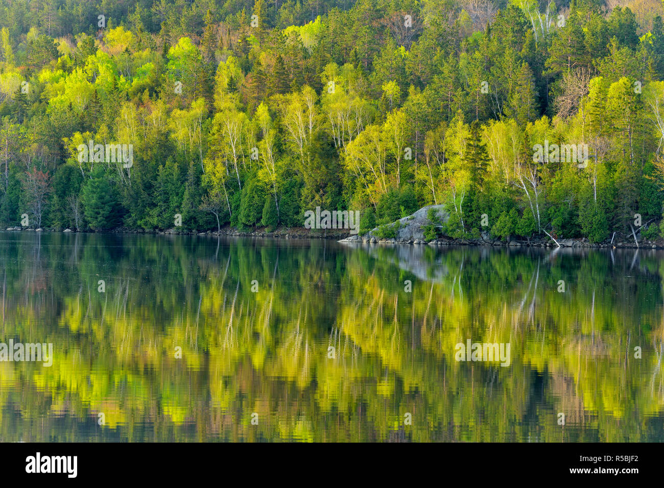 Ontario lakeshores hi-res stock photography and images - Alamy