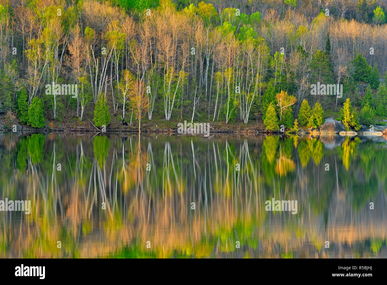 Ontario lakeshores hi-res stock photography and images - Alamy