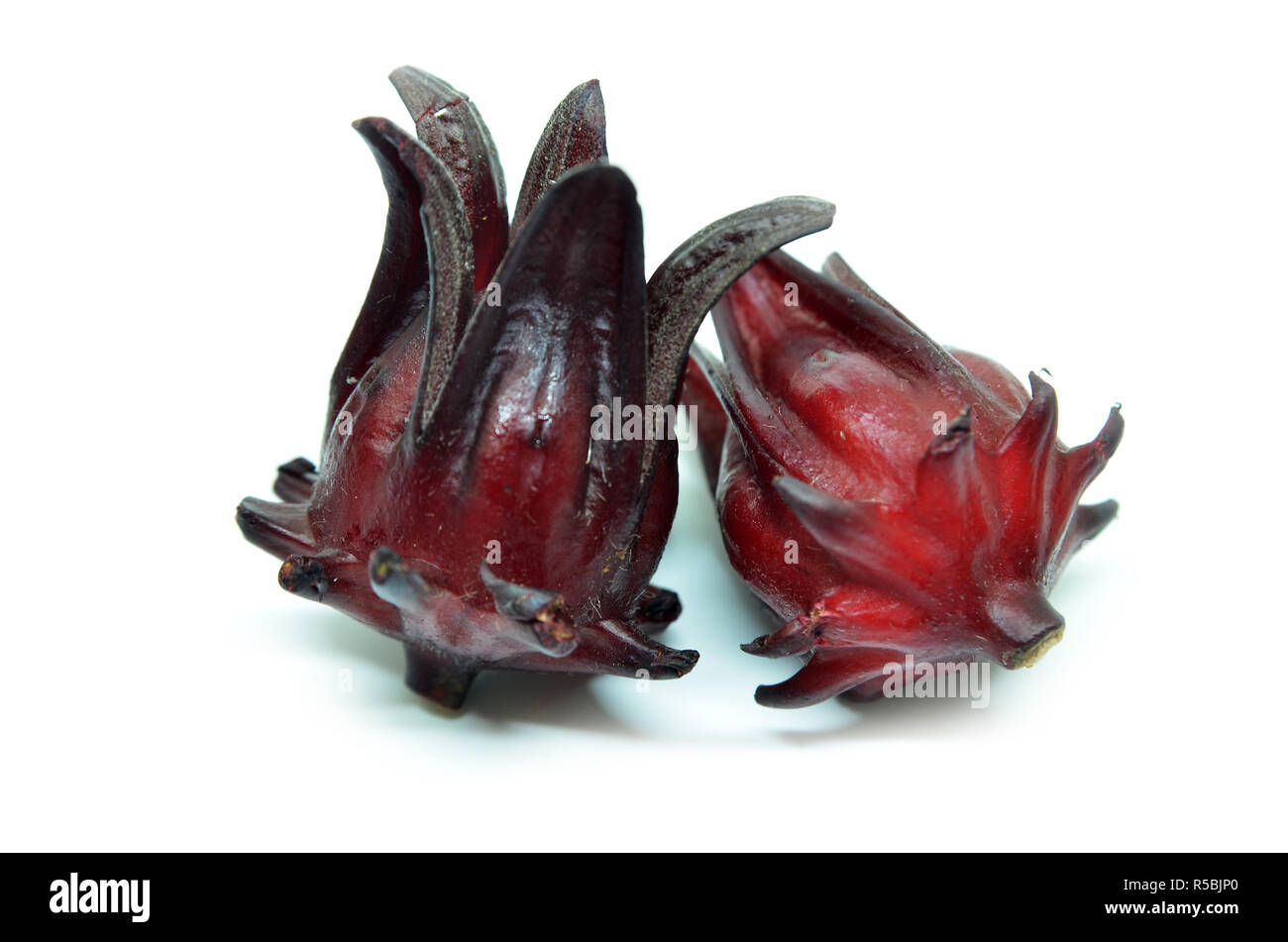 Hibiscus red sorrel agua hi-res stock photography and images - Alamy