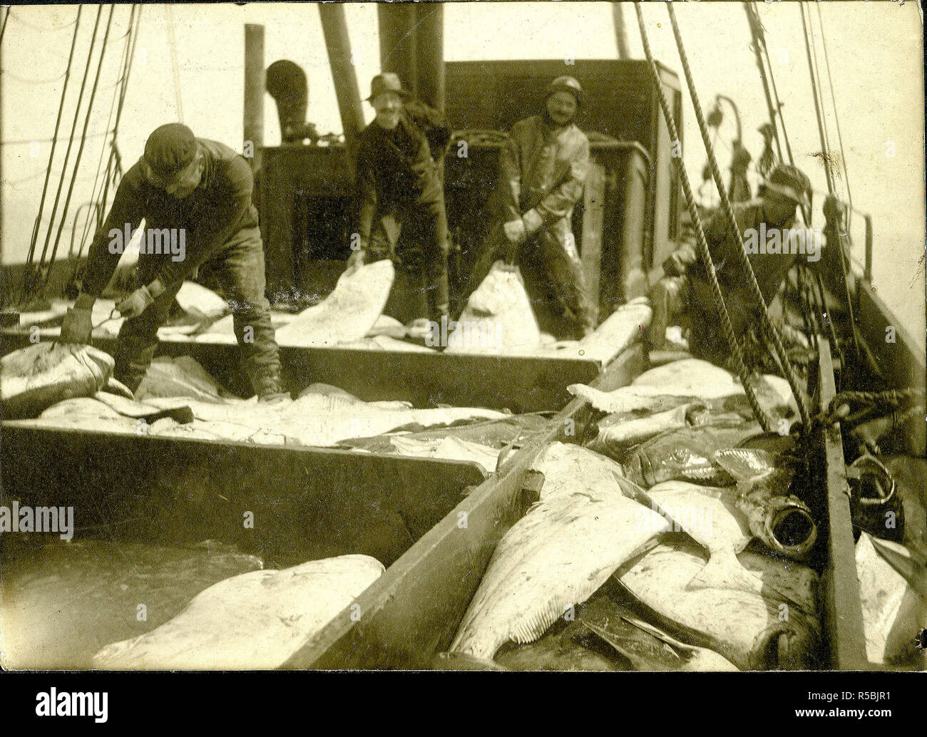 Title: View of the troller the James Carruthers Credit: UBC Library ...