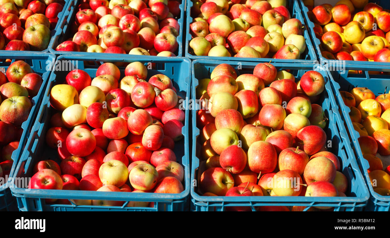 fresh apples in boxes on a market stall Stock Photo - Alamy