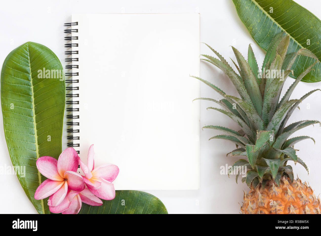 Tropical top view summer botanical concept still life pineapple ...