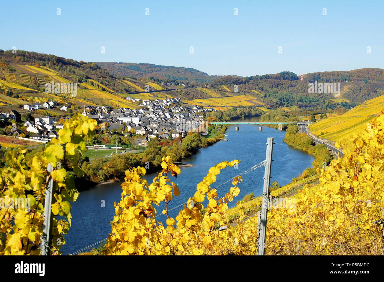 Reil Stock Photos & Reil Stock Images - Alamy