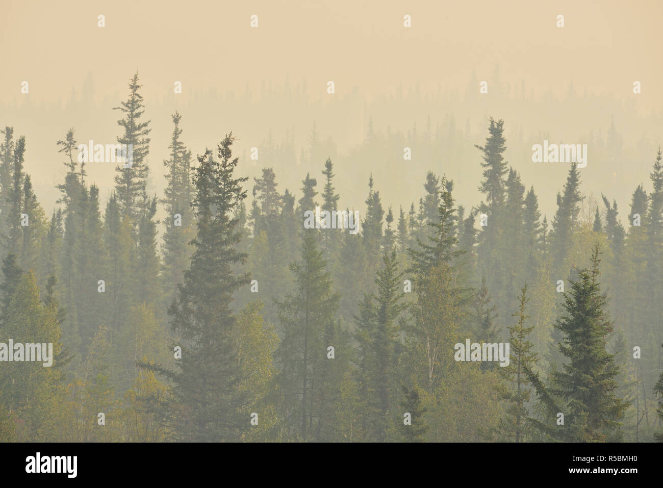 Canada smog hi-res stock photography and images - Alamy