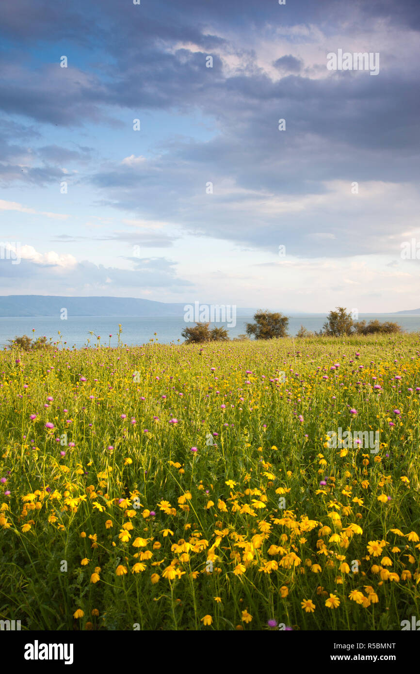 Tiberias sea of galilee lake tiberias hi-res stock photography and ...