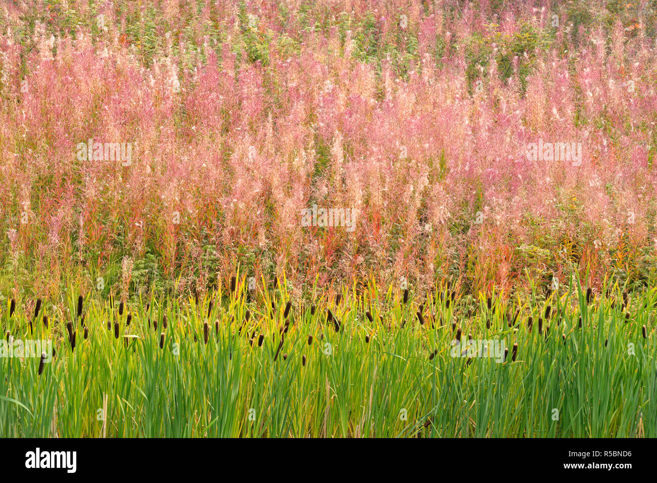 Yellowknife Summer High Resolution Stock Photography and Images - Alamy