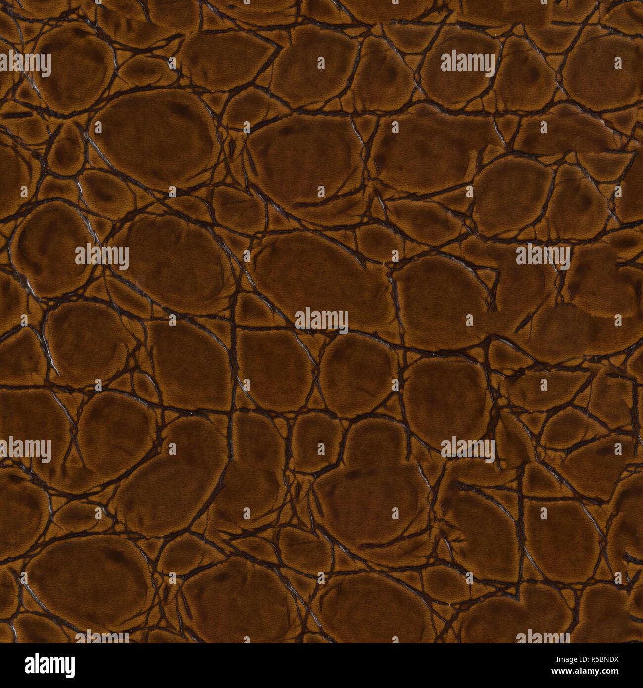 Crocodile leather, can use as background. Seamless square texture, tile ...