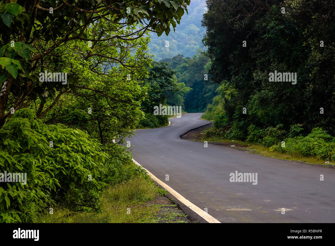 Tamhini Ghat Road, Maharashtra, India Stock Photo - Alamy