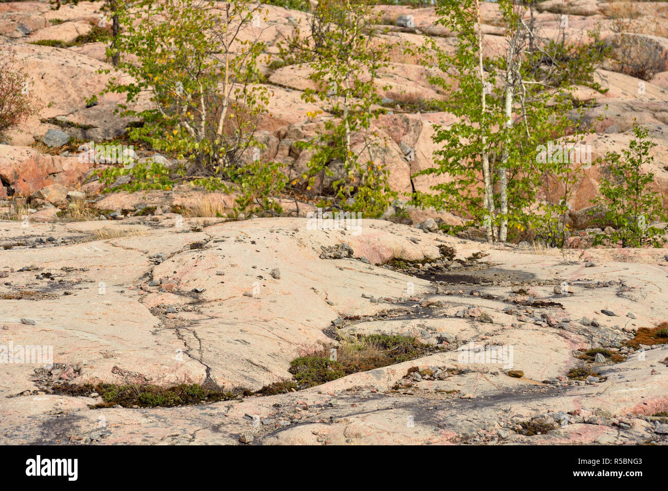 Pre cambrian granite outcrops hi-res stock photography and images - Alamy