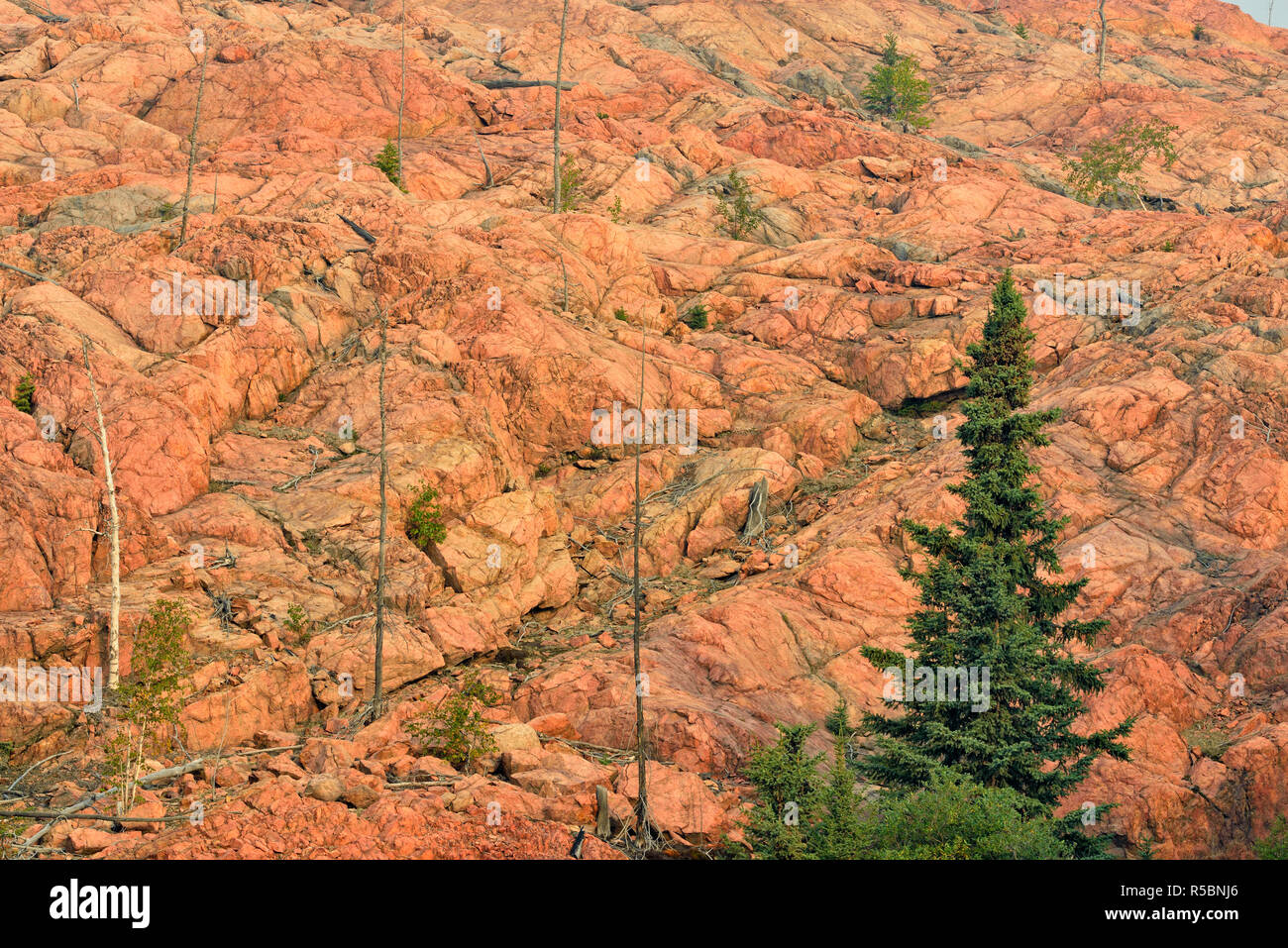 Precambrian rocks canadian shield hi-res stock photography and images ...
