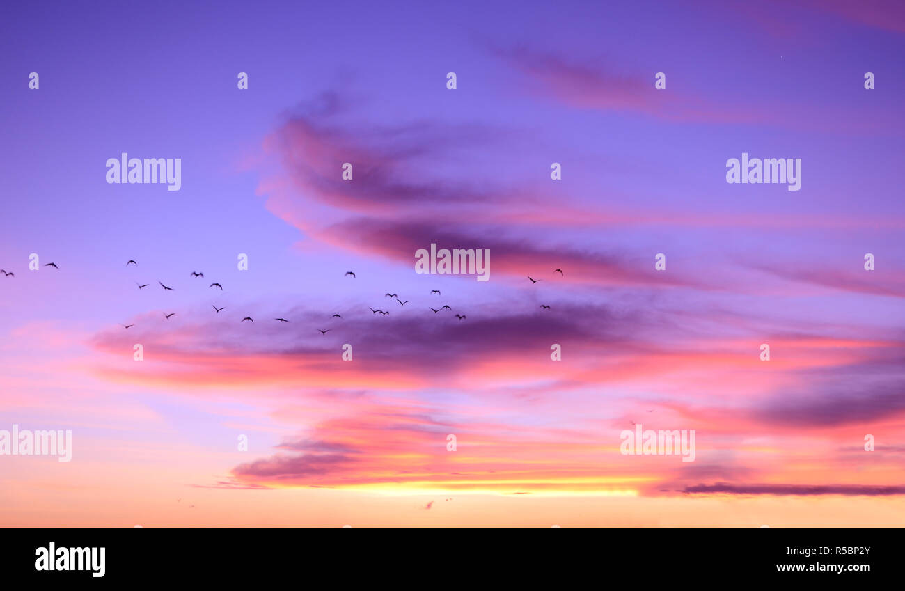 Most beautiful sky hi-res stock photography and images - Alamy