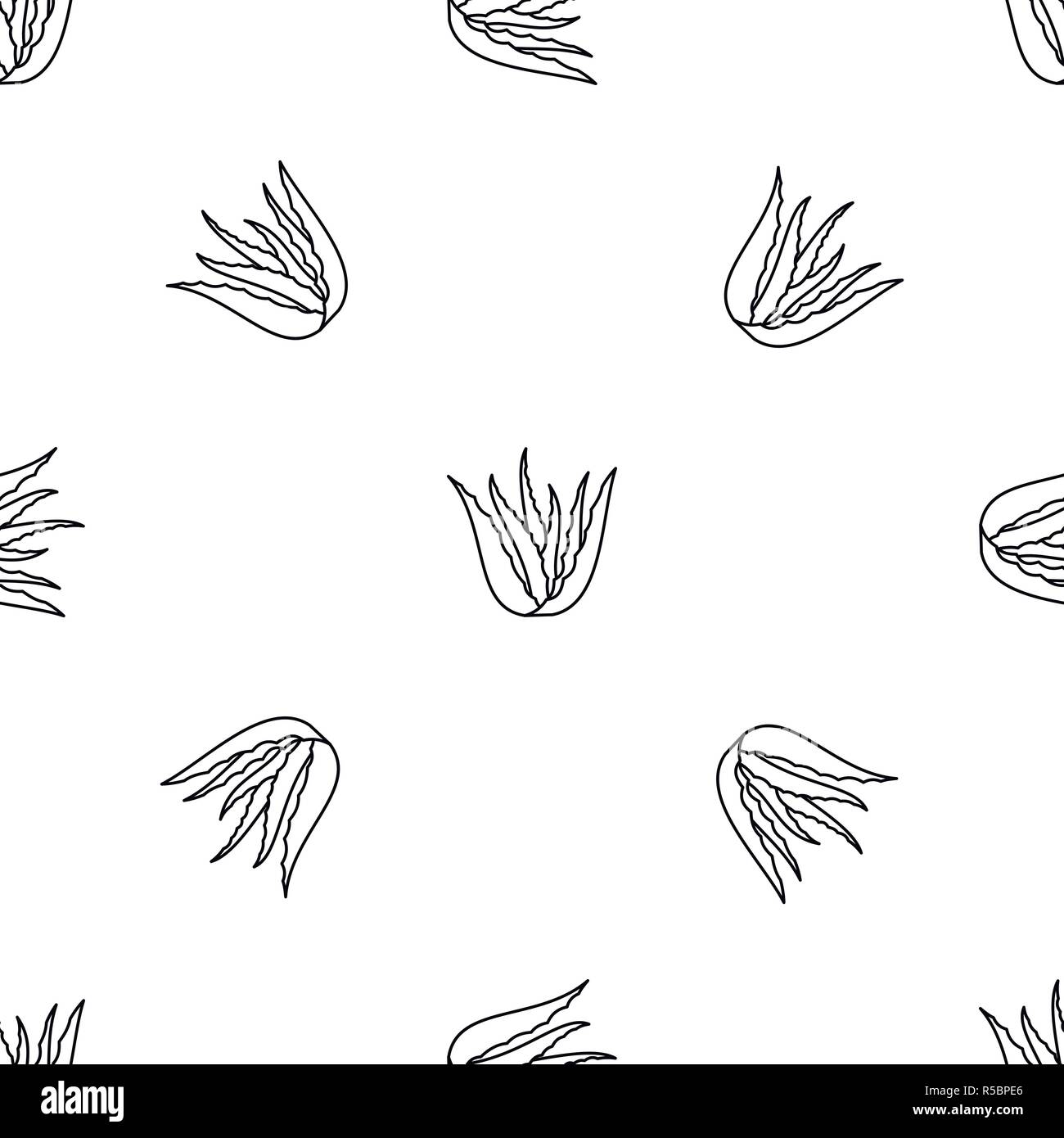 Seamless Repeating Pattern Succulent Plant High Resolution Stock ...
