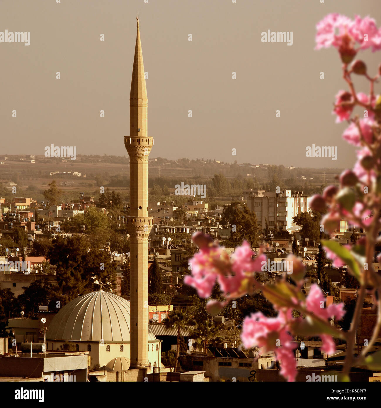 mosque in Adana, Turkey Stock Photo - Alamy