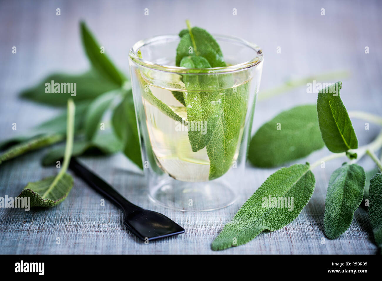 Sage herbel tea Stock Photo - Alamy