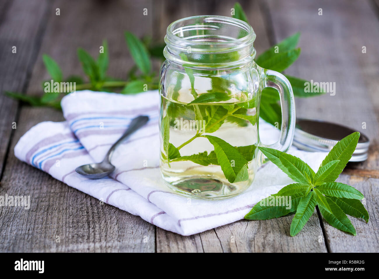 Tea of lemon verbena (Aloysia triphylla) used in herbal medicine as a ...