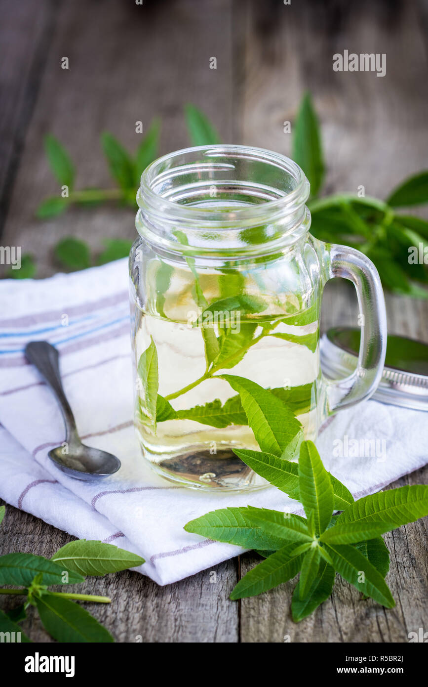 Tea of lemon verbena (Aloysia triphylla) used in herbal medicine as a ...