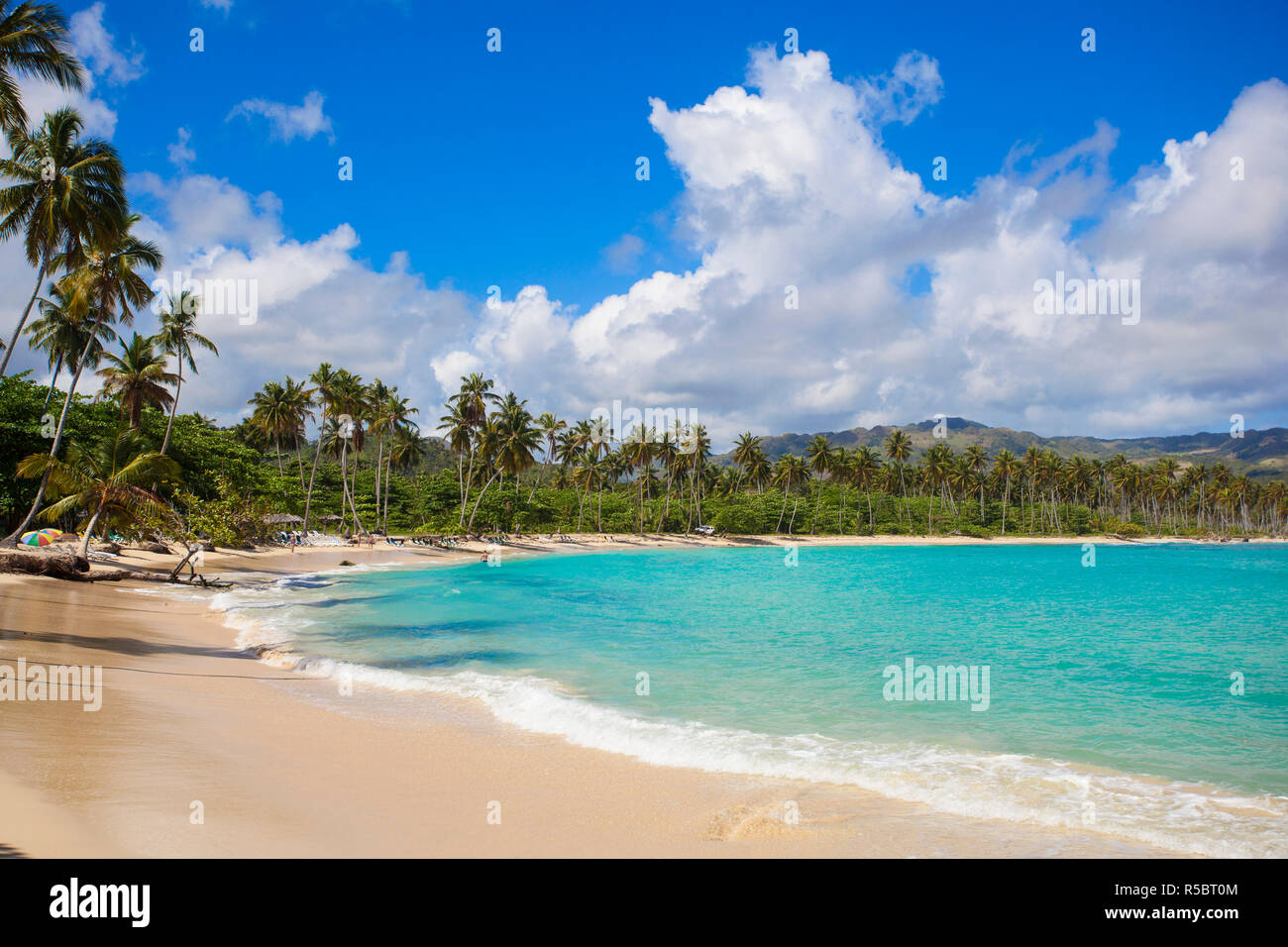 Dominican Republic, Samana Peninsula, Playa Rincon Stock Photo - Alamy