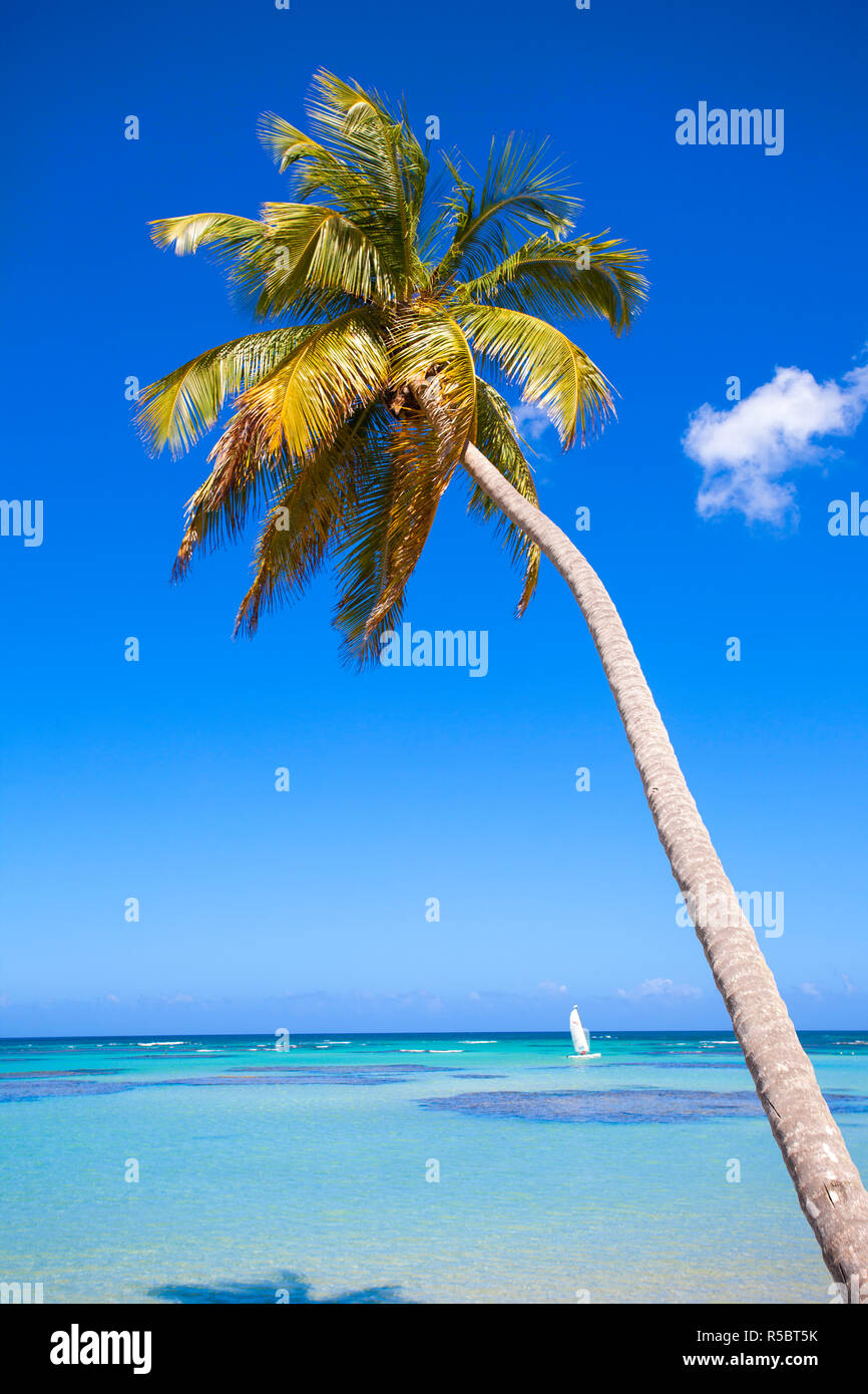 Dominican Republic, Samana Peninsula, Las Terrenas, El Portillo Beach ...